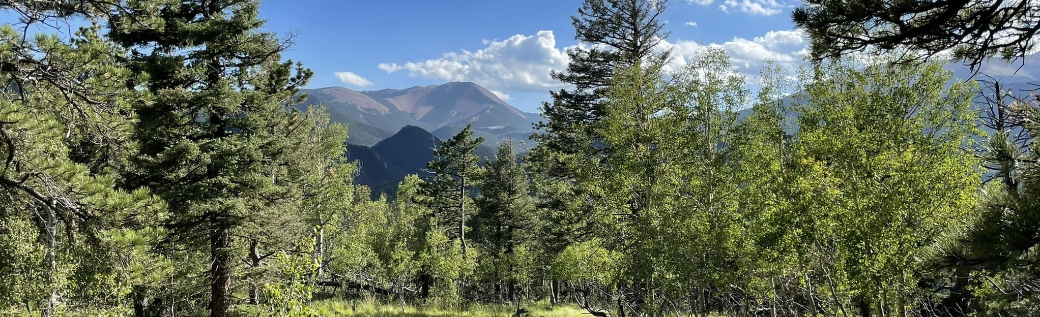 Mount Manitou via Barr Trail: 152 Reviews, Map - Colorado | AllTrails