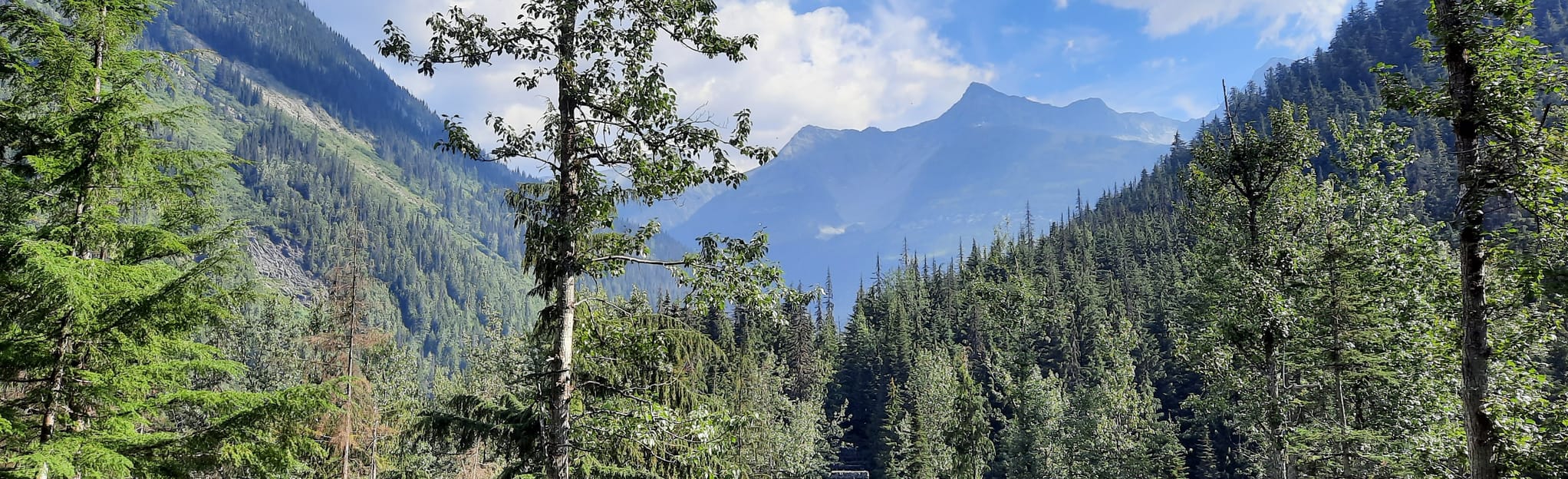 Loop Brook Trail: 107 foto's - Brits-Columbia, Canada | AllTrails