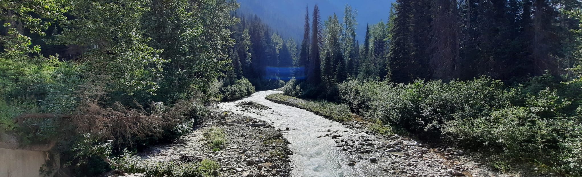 Loop Brook Trail, British Columbia, Canada - 143 Reviews, Map | AllTrails