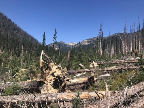 2023 Best trails in Ardenvoir | AllTrails