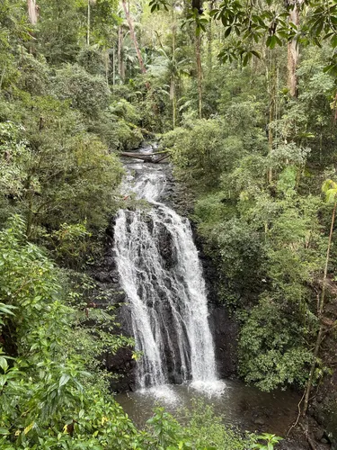 10 Best Hikes and Trails in Border Ranges National Park | AllTrails