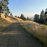 Fitton Green Natural Area Trail, Oregon - 375 Reviews, Map | AllTrails