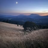 Fitton Green Natural Area Trail, Oregon - 381 Reviews, Map | AllTrails