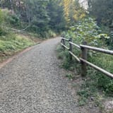 Fitton Green Natural Area Trail, Oregon - 385 Reviews, Map | AllTrails