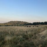 Fitton Green Natural Area Trail, Oregon - 385 Reviews, Map | AllTrails