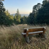 Fitton Green Natural Area Trail, Oregon - 385 Reviews, Map | AllTrails