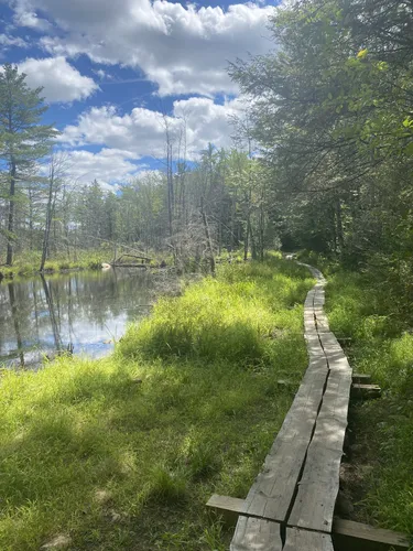 Best Hikes and Trails in Watatic Mountain State Wildlife Area | AllTrails