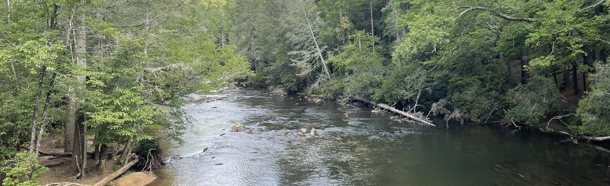 Benton MacKaye Duncan Ridge Trail: Morganton Highway to Toccoa River ...