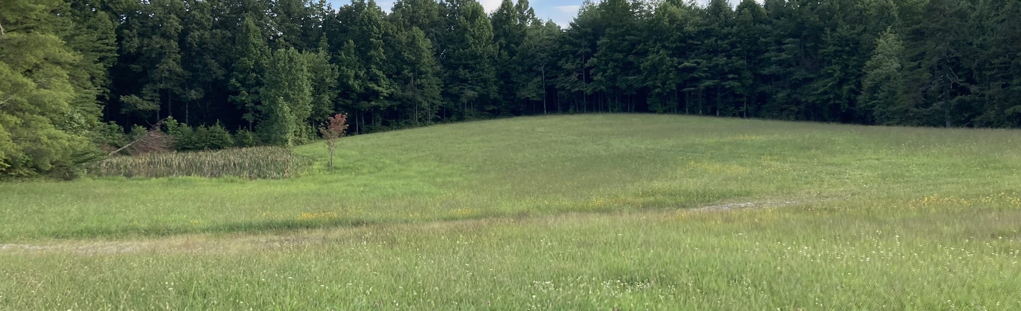 Collier Ridge | Map, Guide - Tennessee | AllTrails