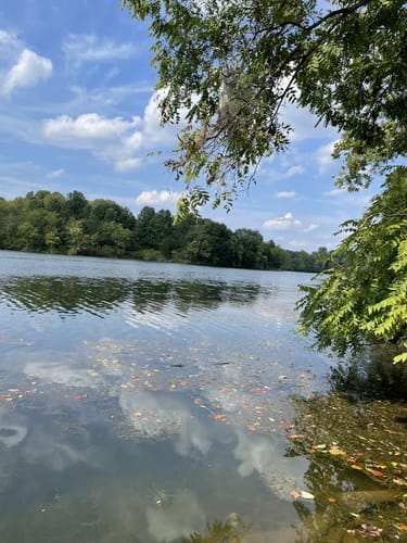 Best 10 Hikes and Trails in Loch Raven Reservoir | AllTrails