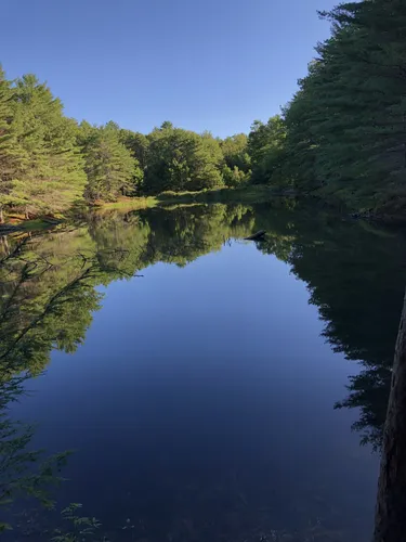 Best Hikes and Trails in Dodge Point Public Reserved Land | AllTrails