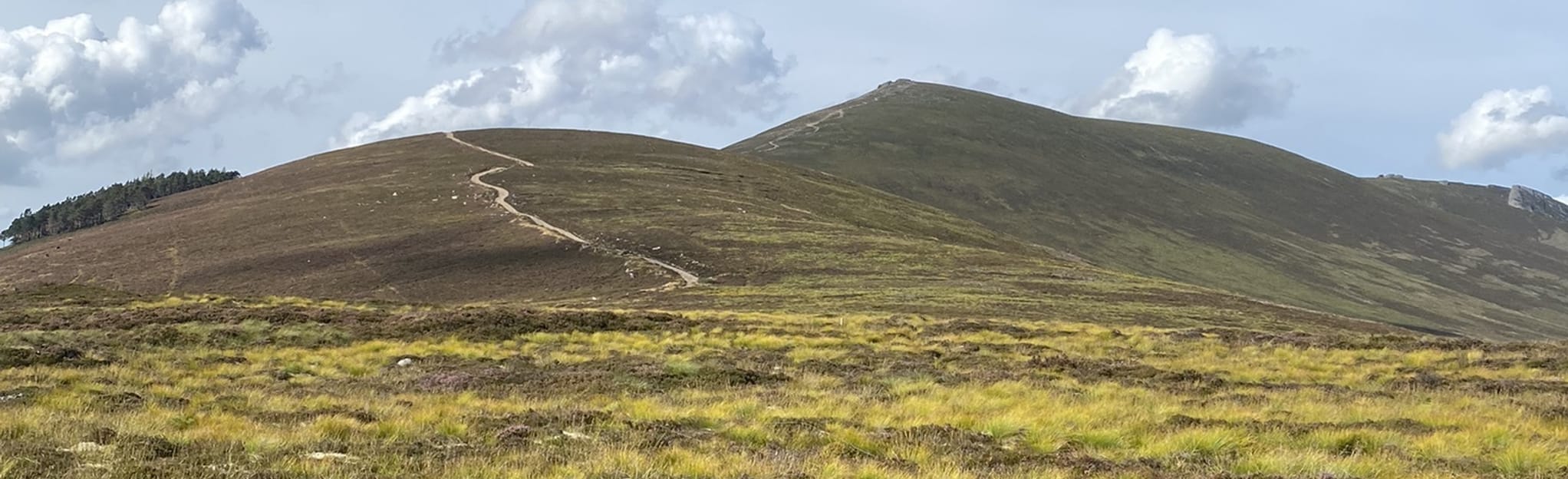 Ben Rinnes: 130 Reviews, Map - Moray, Scotland | AllTrails