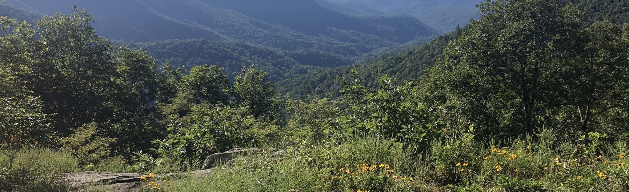 Wildcat Rock Water Tower and Fodder Stack Trail: 133 fotos - Carolina ...