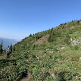 Monogram Lake Trail, Washington - 87 Reviews, Map | AllTrails