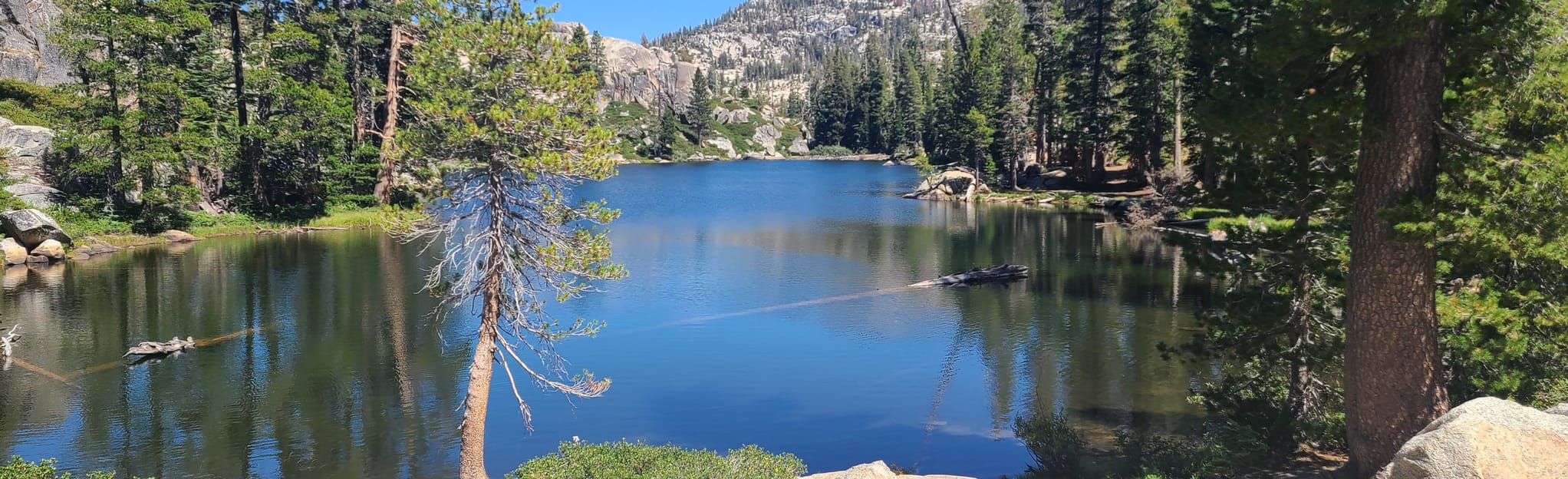 Lower Emigrant Wilderness Shorter Loop - California | AllTrails