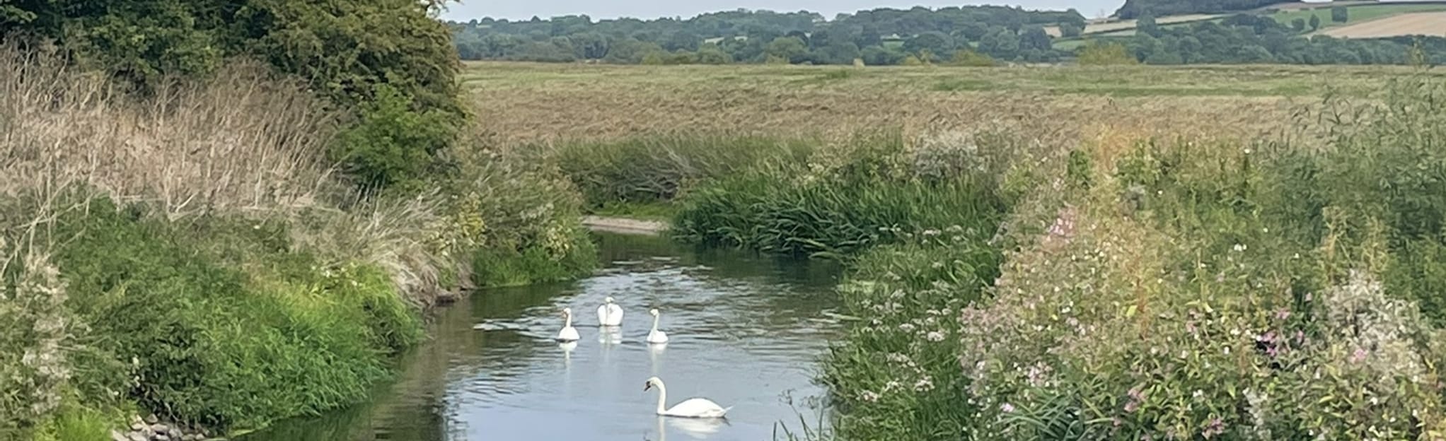 Lound and Idle Valley Circular, Nottinghamshire, England - 15 Reviews ...