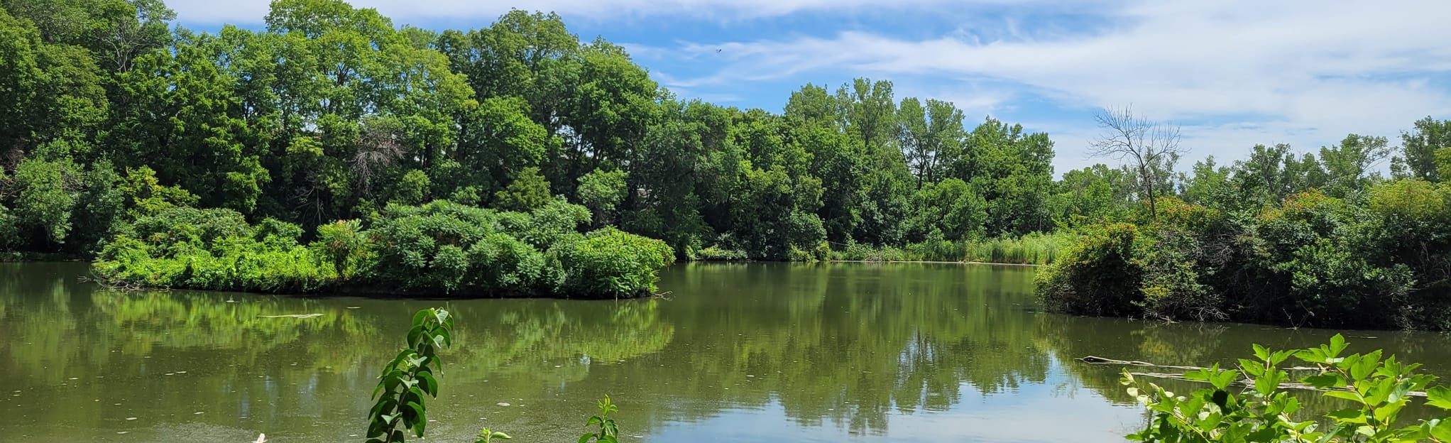 Heron Haven Nature Center: 46 Reviews, Map - Nebraska | AllTrails