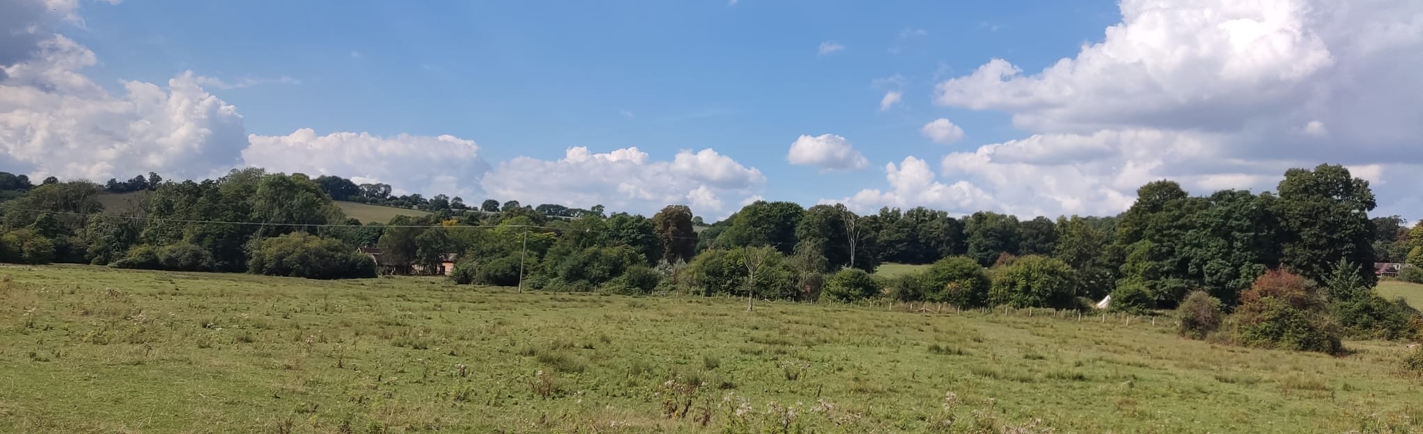 Soberton Circular: 96 Reviews, Map - Hampshire, England | AllTrails