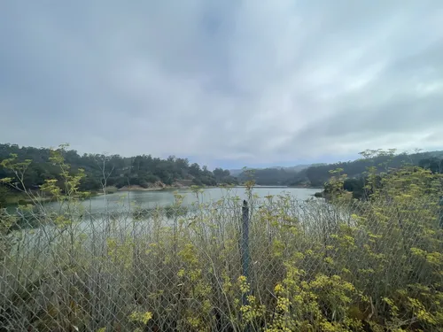 10 Best Hikes and Trails in Lake Chabot Regional Park | AllTrails
