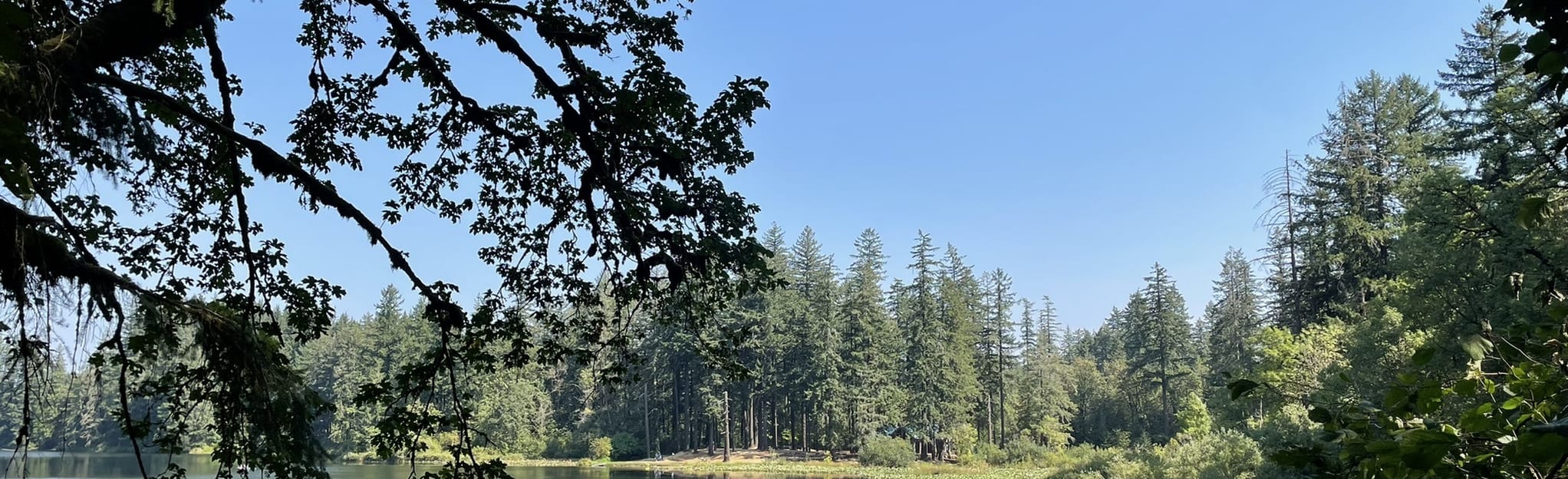 Fallen Leaf Lake | Map, Guide - Washington | AllTrails