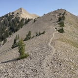 Bridger Ridge Trail, Montana - 177 Reviews, Map | AllTrails