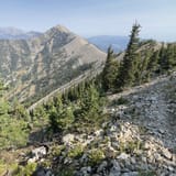 Bridger Ridge Trail, Montana - 177 Reviews, Map | AllTrails
