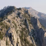 Bridger Ridge Trail, Montana - 177 Reviews, Map | AllTrails