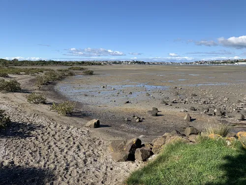 Best Hikes and Trails in Tahuna Torea Reserve | AllTrails