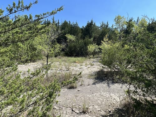 Best Hikes and Trails in Rosedale Park | AllTrails