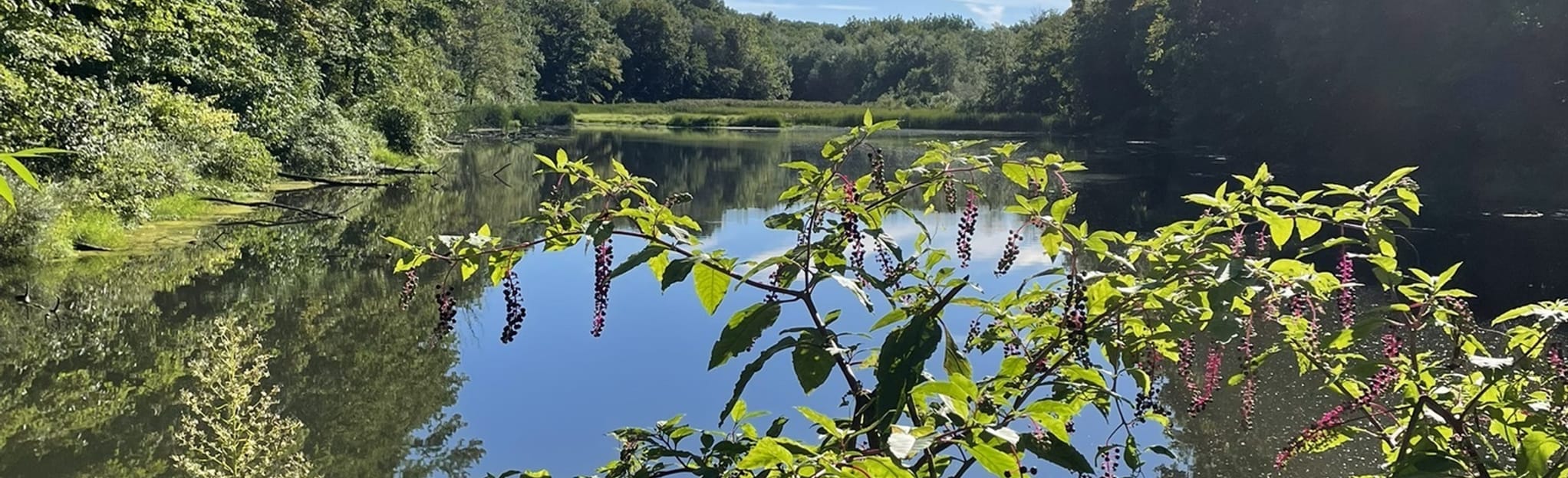 Lower Pond, Upper Pond, June's and Yellow Trail, Connecticut - 873 ...