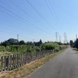 Chief Sealth Trail, Washington - 110 Reviews, Map | AllTrails