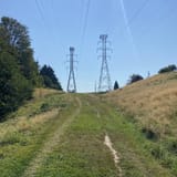 Chief Sealth Trail, Washington - 110 Reviews, Map | AllTrails