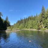 Marble River Trail , British Columbia, Canada - 153 Reviews, Map ...