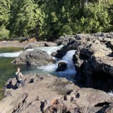 Marble River Trail , British Columbia, Canada - 153 Reviews, Map ...