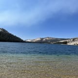 Tenaya Lake Trail, California - 473 Reviews, Map | AllTrails