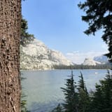 Tenaya Lake Trail, California - 469 Reviews, Map | AllTrails