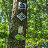 Paumanok Path, New York - 126 Reviews, Map | AllTrails