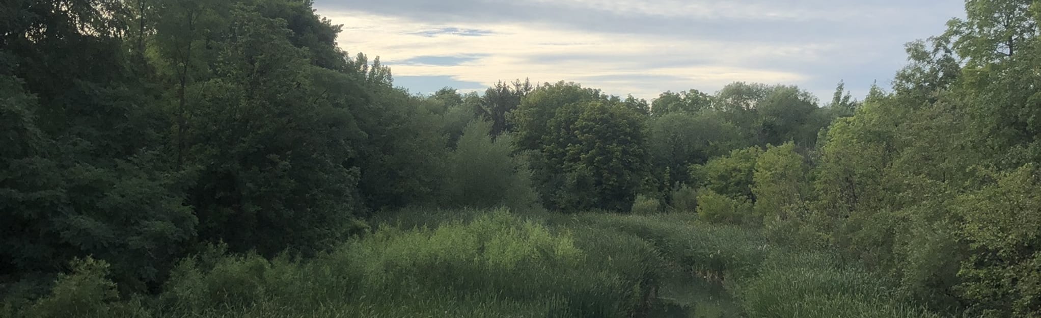 Springbrook Park, Ontario, Canada - 27 Reviews, Map | AllTrails