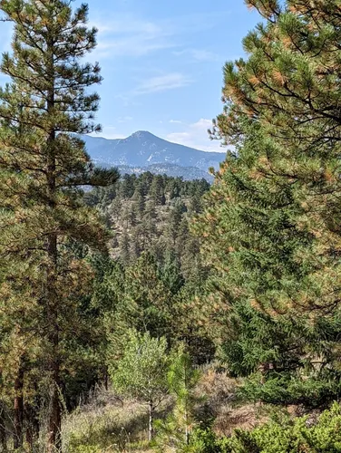 Best Hikes and Trails in Genesee Park | AllTrails