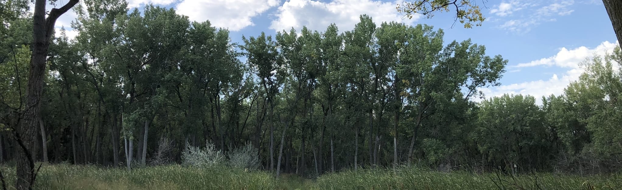 AllTrails | Chief White Crane Trail: 7 Reviews, Map - South Dakota