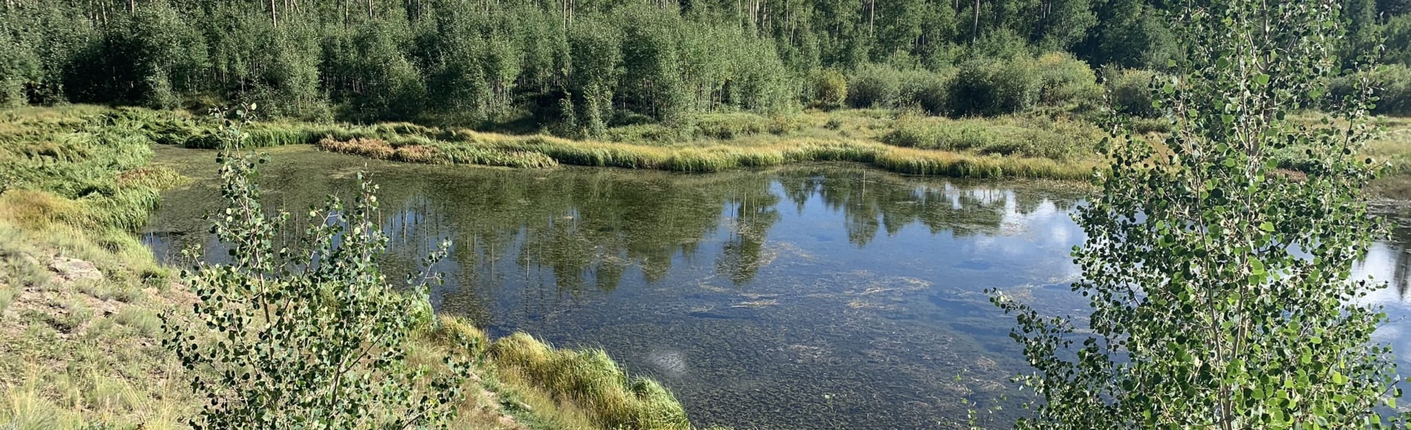 Thompson Lake, Colorado - 172 Reviews, Map | AllTrails