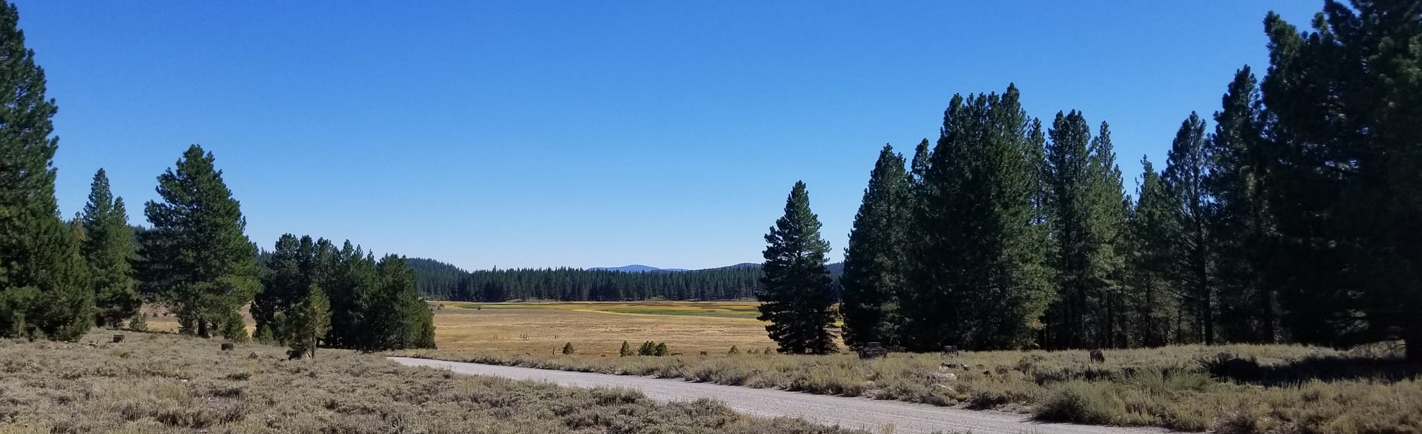 Kyburz Flat, California - 10 Reviews, Map | AllTrails