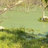 The '400' State Trail, Wisconsin - 144 Reviews, Map | AllTrails