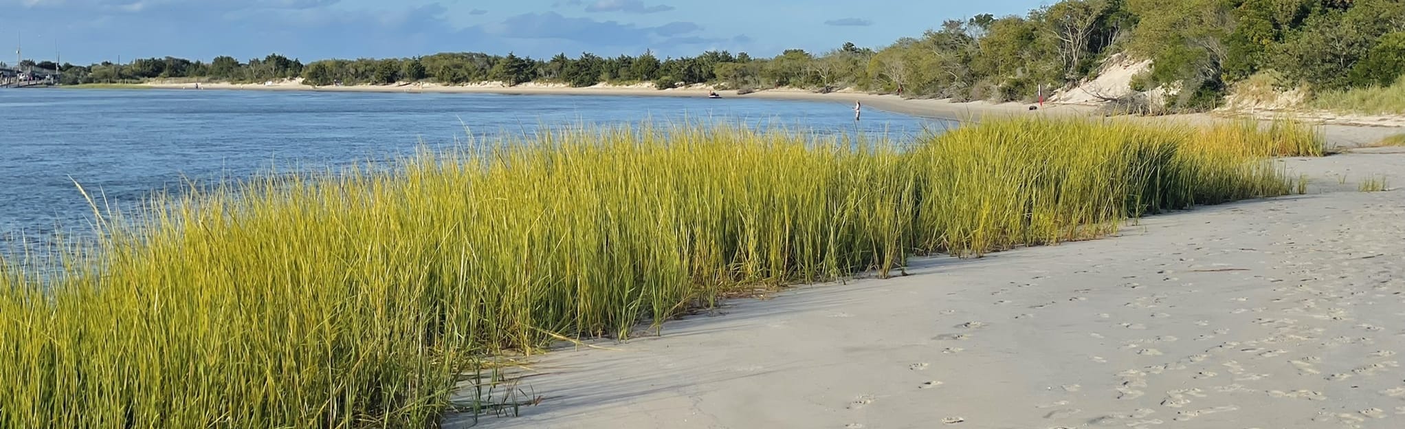 Corson Inlet Fox Run (Red) Trail: 77 Reviews, Map - New Jersey | AllTrails