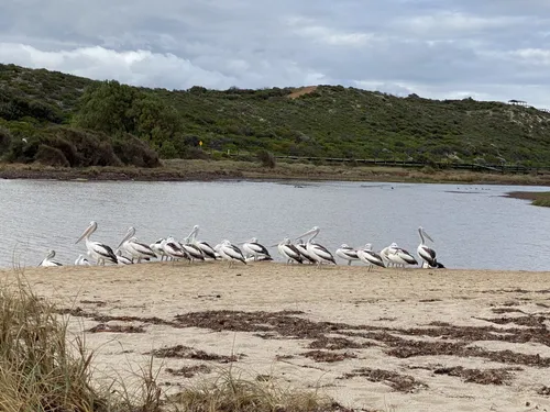 Best Hikes and Trails in Dongara | AllTrails