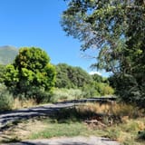 Dripping Rock Falls, Utah - 648 Reviews, Map | AllTrails