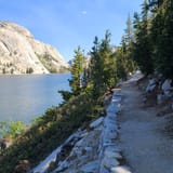 Tenaya Lake Trail, California - 469 Reviews, Map | AllTrails