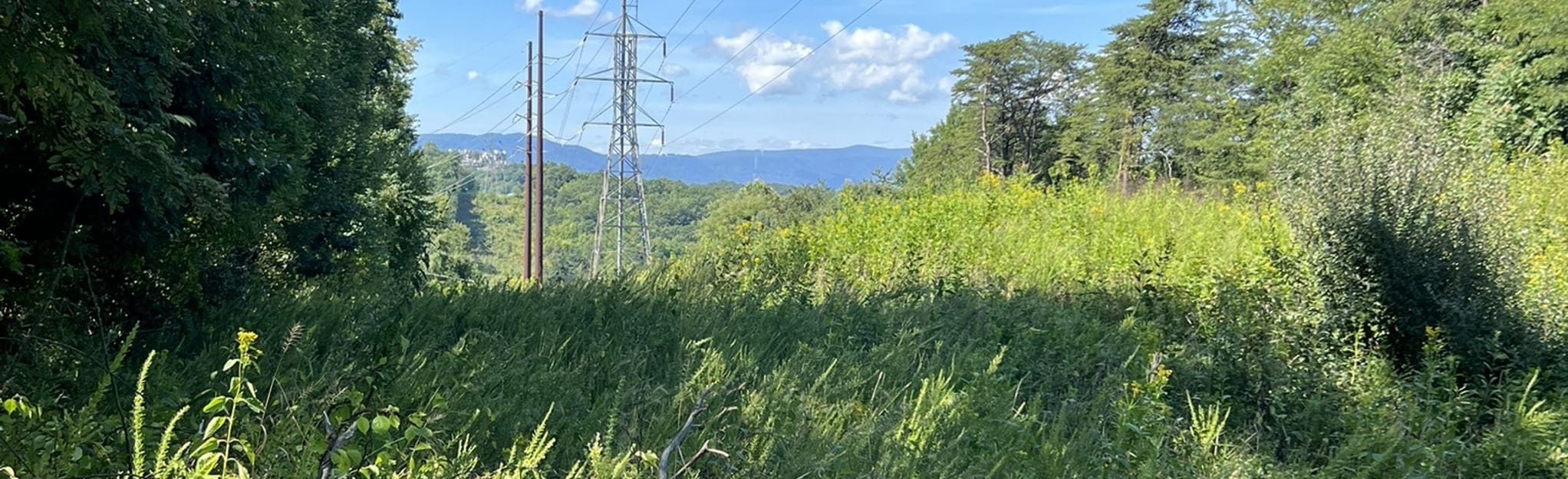 Chestnut Ridge Trail, Virginia - 472 Reviews, Map | AllTrails