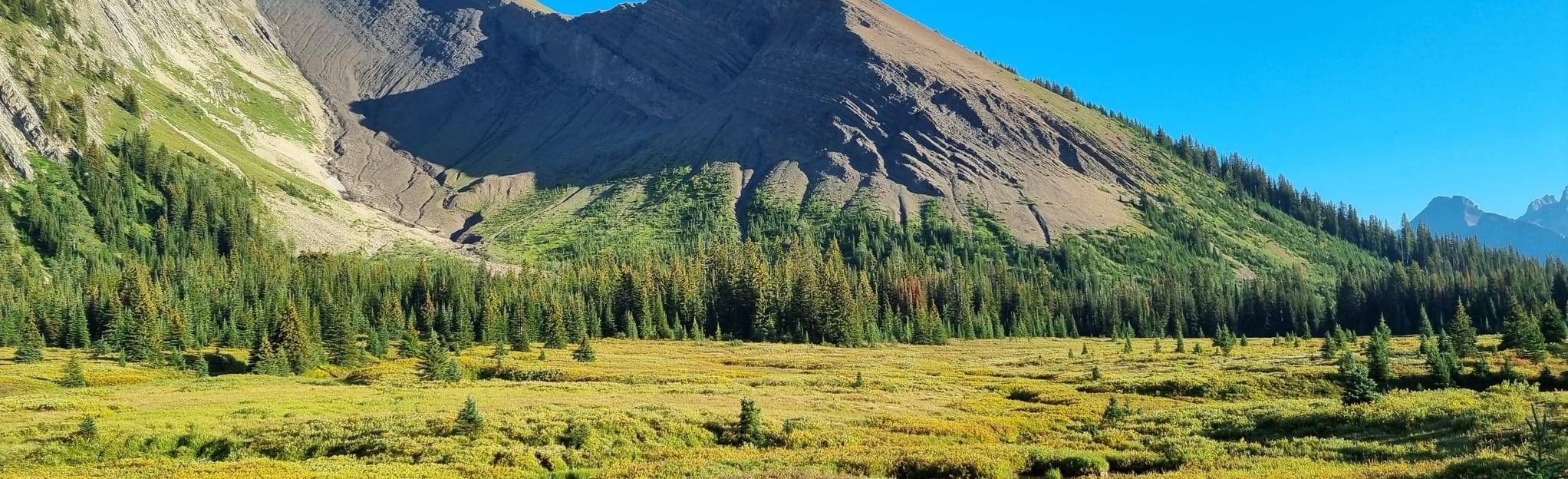 Mount Chester, Alberta, Canada - 60 Reviews, Map | AllTrails