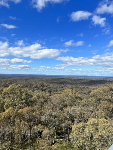 2023 Best Wild Flowers Trails in Greater Bendigo National Park | AllTrails